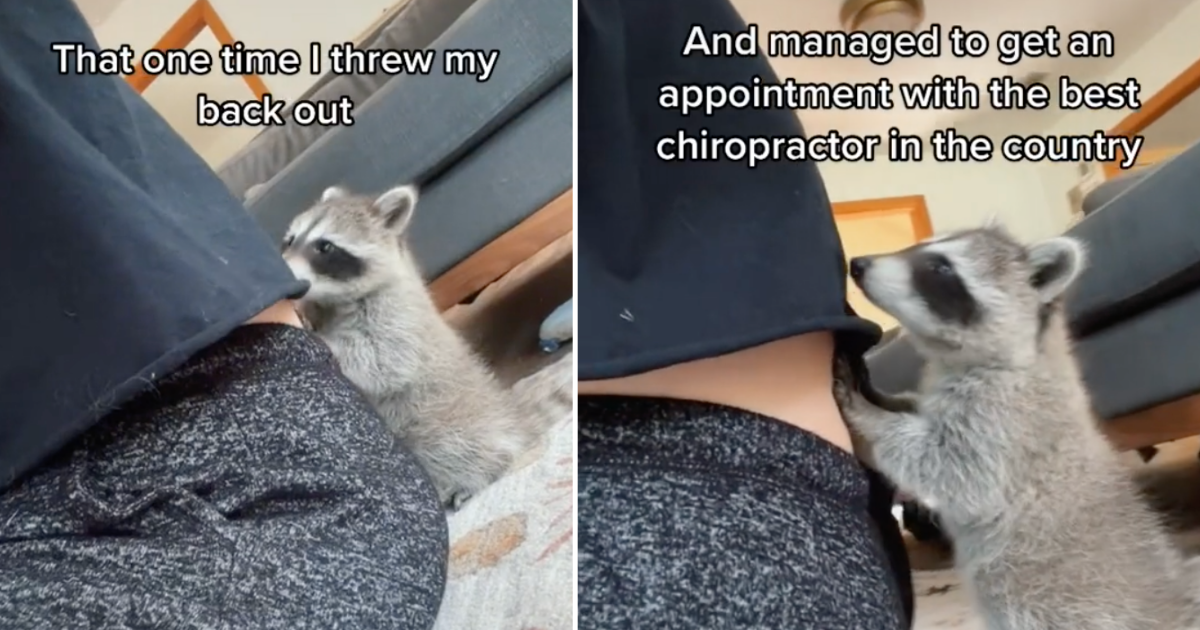 After Throwing Her Back Out, Woman Was Able To Get An Appointment With ...