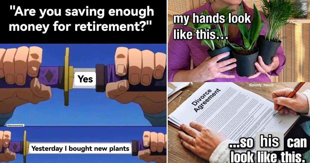 A Thriving Crop of Plant Memes For Green Thumbs - Memebase - Funny Memes