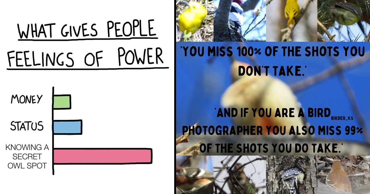 Relatable Birding Memes for Amateurs and Experts Alike - Memebase ...