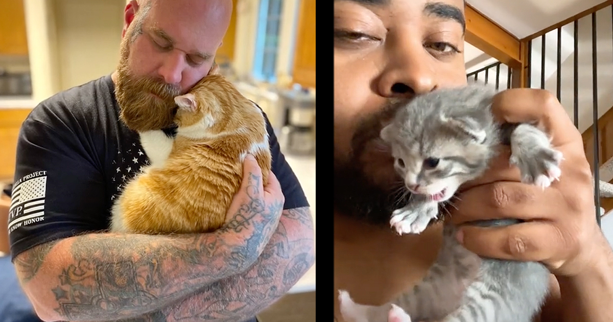 I Can Has Cheezburger? - frat-cat - Funny Animals Online - Cheezburger