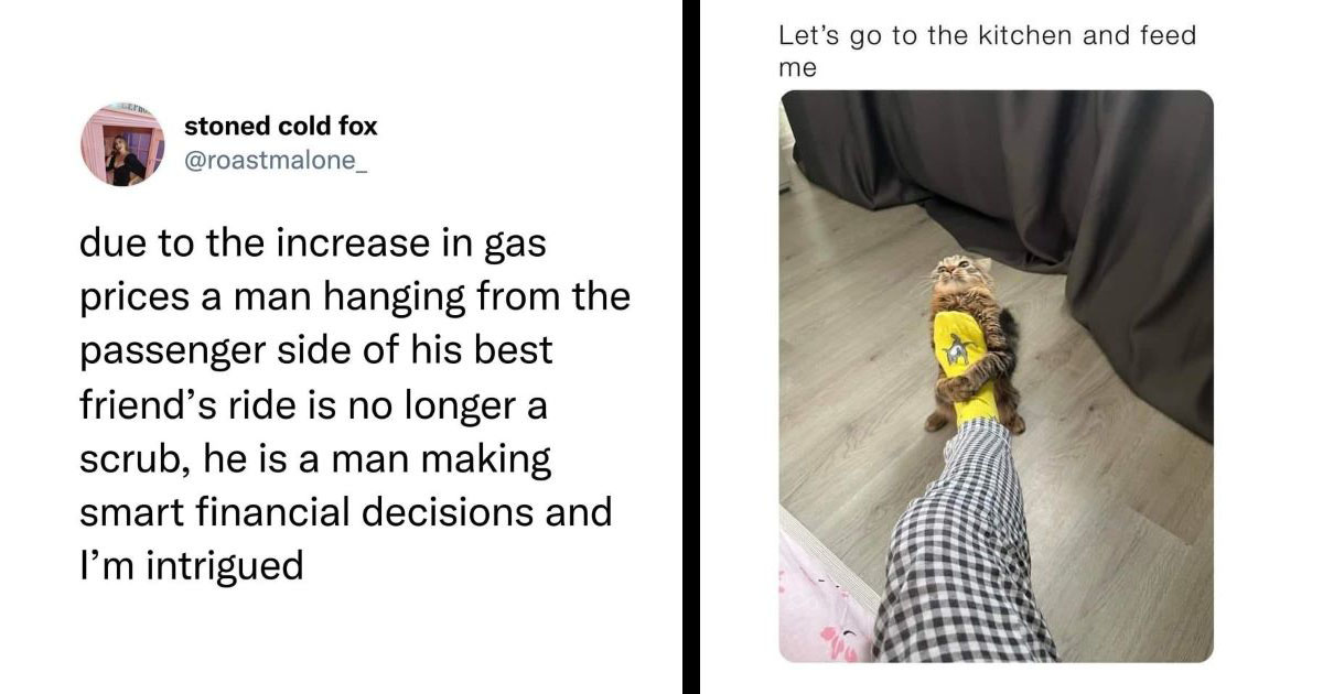 A Cluster of Compelling Memes - Memebase - Funny Memes