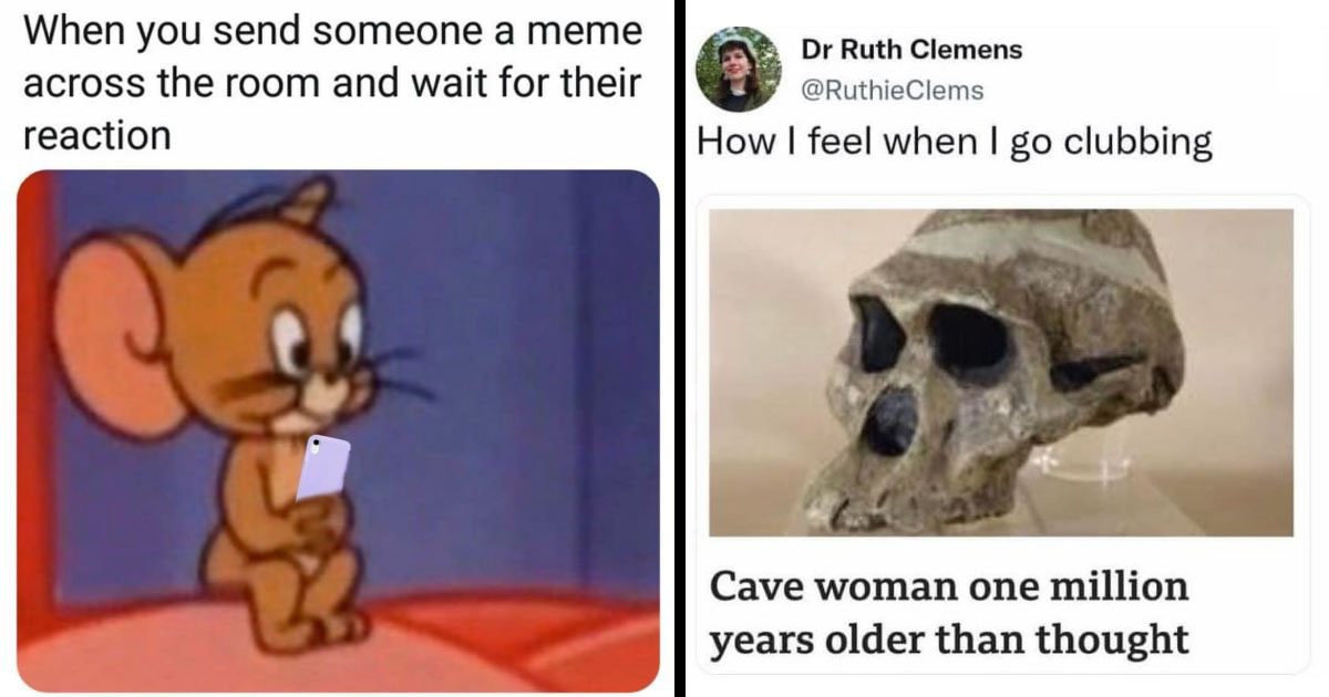 Memebase - Cats - All Your Memes In Our Base - Funny Memes - Cheezburger