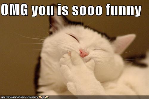 OMG you is sooo funny - Cheezburger - Funny Memes | Funny Pictures