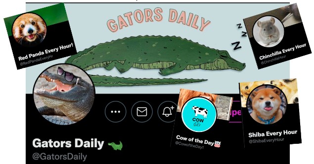 11 Must Follow Twitter Accounts for Hourly Animal Content - Animal ...