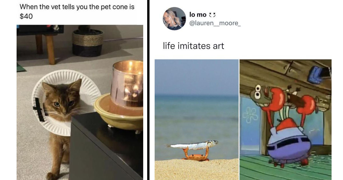 A Bevy of Marvelous Memes - Memebase - Funny Memes