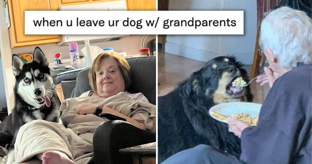 A Twitter Thread Of Grandparents Spoiling, Feeding, And Loving Their ...