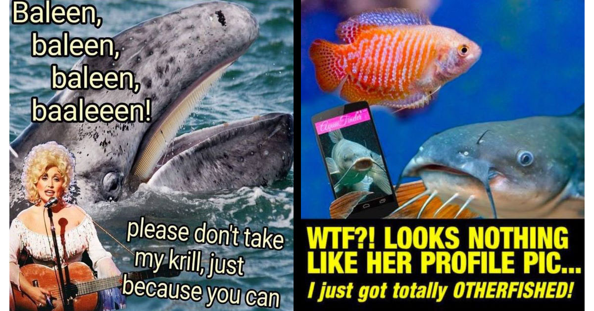 Animal Memes For Real Ecology Heads - Memebase - Funny Memes