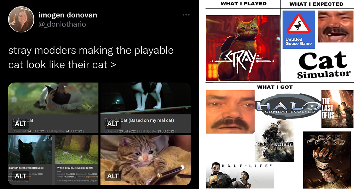 The Best Memes & Funniest Mods From Cyperpunk Cat Game 'Stray ...