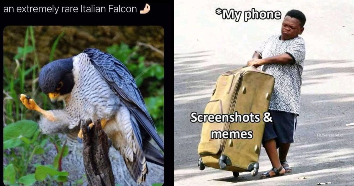 Rebellious Memes That Try To Push The Envelope - Memebase - Funny Memes