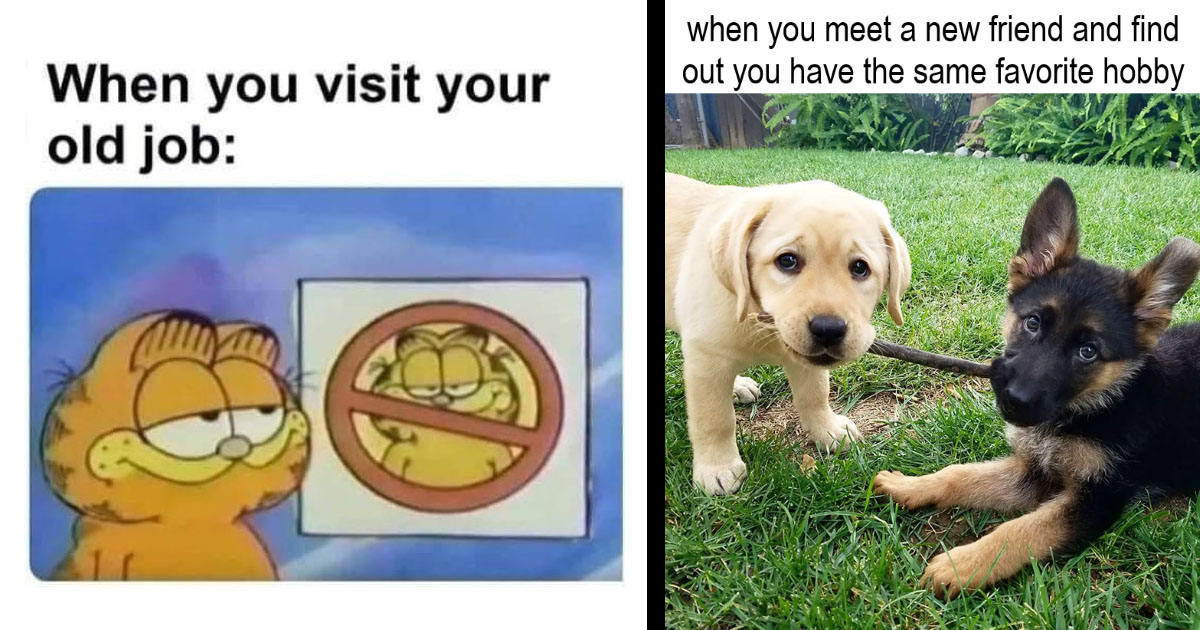 Earnest Memes For Wholesome Souls - Memebase - Funny Memes