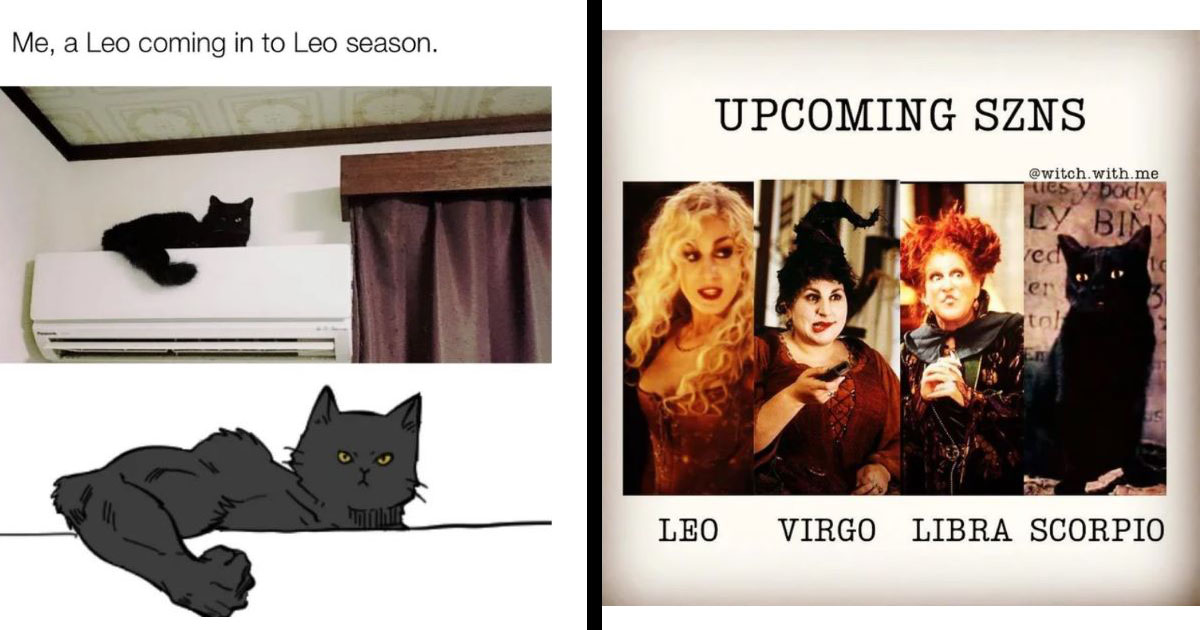 Funny Leo Zodiac Memes 50 Hilarious Astrology Memes With A Little