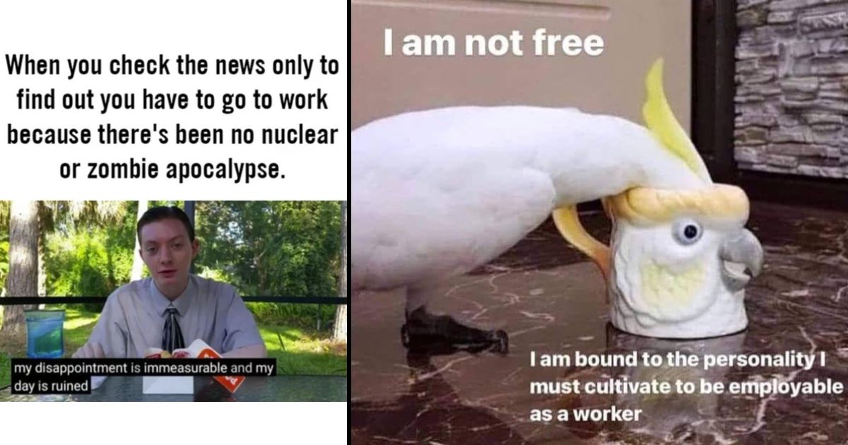 The Best Relatable Work Memes This Week (August 8, 2022) - Memebase ...