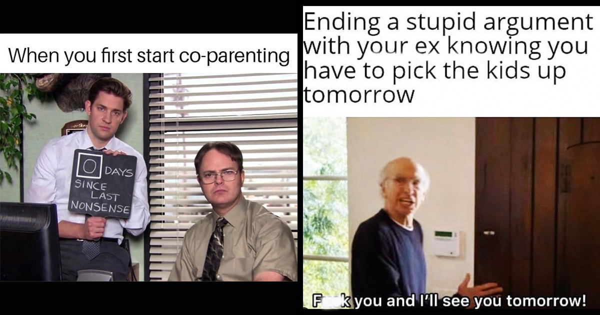 Funniest Co-Parenting Memes for the Newly Divorced Couple to Help ...