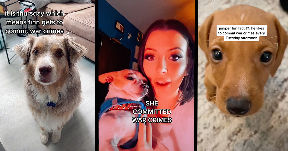 Home - Page 4 - The Big Cheezburger Network - Made from the finest of ...