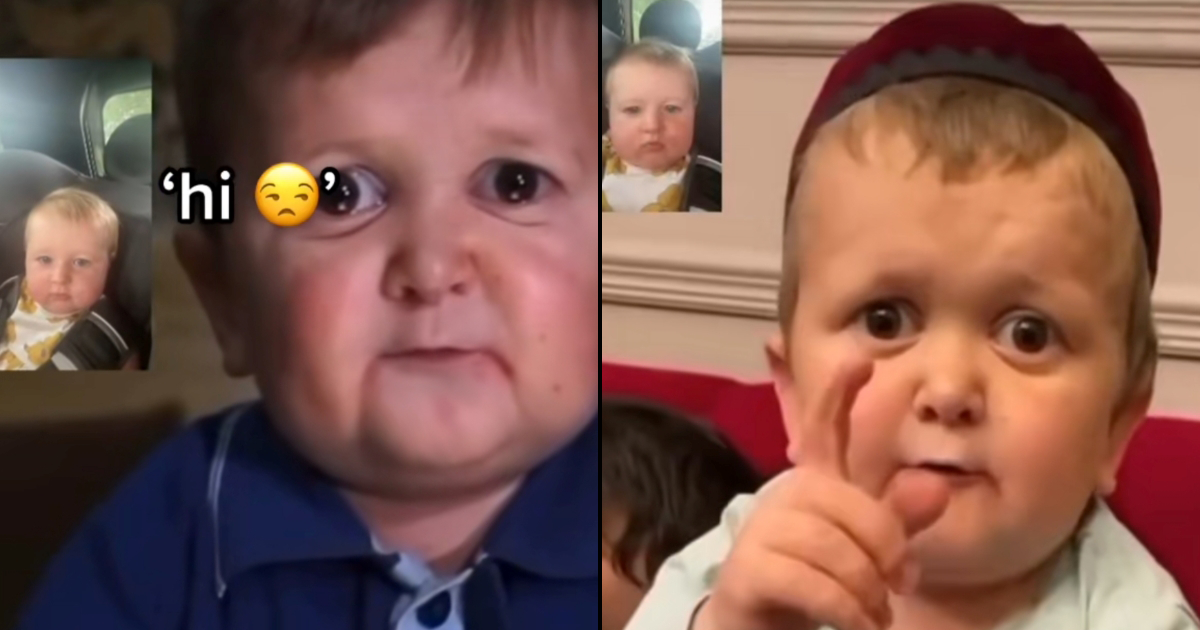 Baby Is Convinced Hasbulla Is Her Dad, Hilarity Ensues - Memebase ...