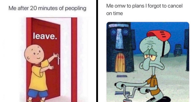 Funniest Homebody Memes for People Who’ve Happily Committed to the ‘Do ...