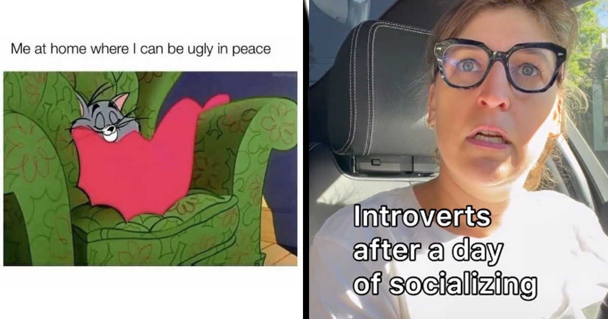10 Memes For Introverts Who Are About To Cancel Plans For The Tenth ...