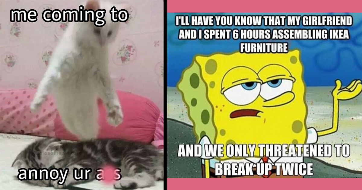 The Funniest Memes Only Couples Who Just Moved in Together Will ...