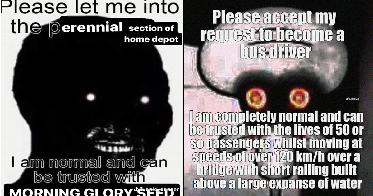 Ảnh Vui Và Memes Hài Hước: Những Mẩu Chuyện Vui Nhộn! - Activegaliano.org