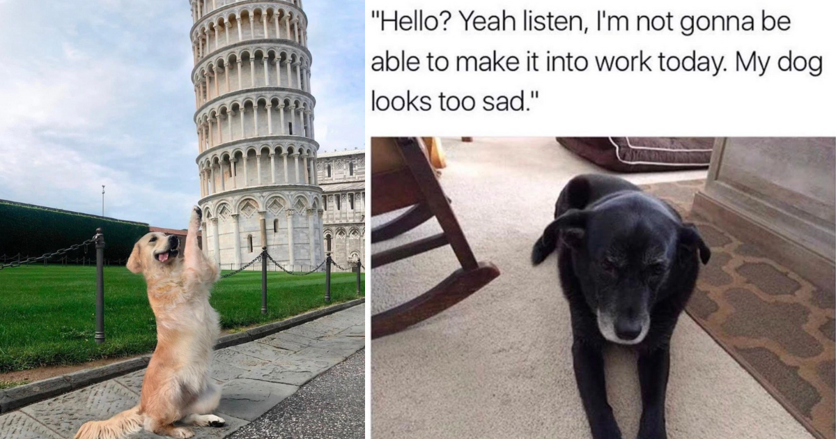 Bridging The Gap Between Workweek And Weekend With Dapper Doggo Memes ...