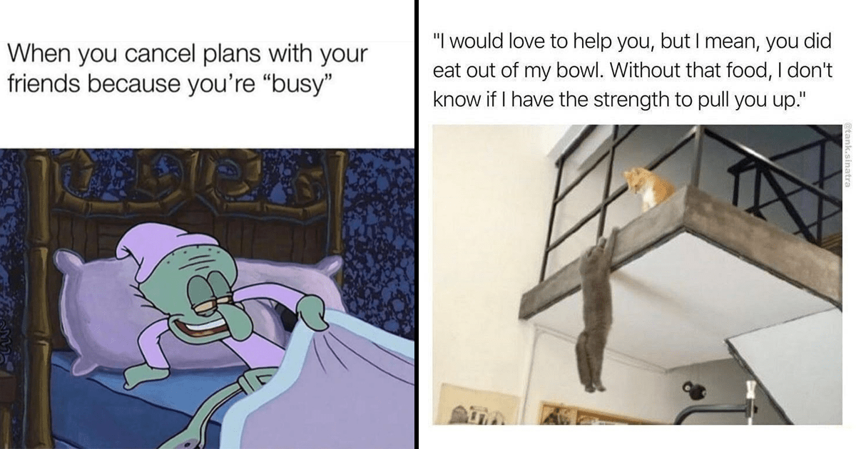 A Decent Batch Of Some Decently Funny Memes Memebase Funny Memes