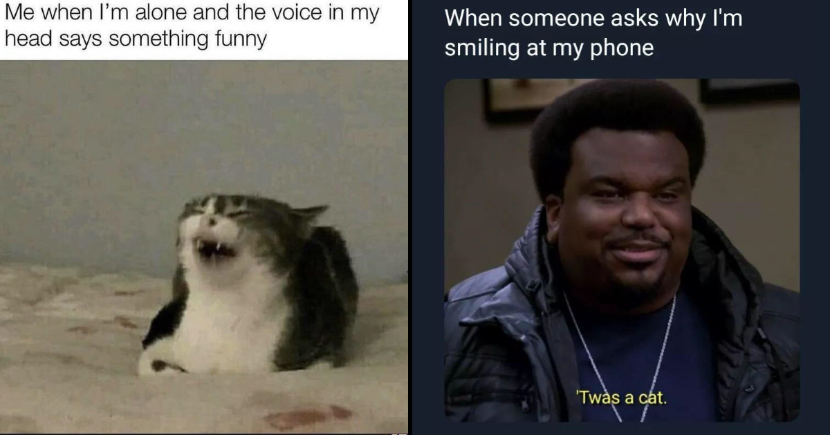 A Fluff of Cutesy Cat Memes - Memebase - Funny Memes