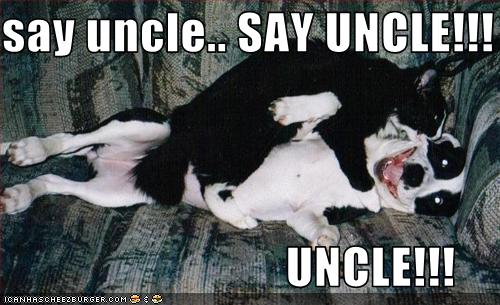 say uncle.. SAY UNCLE!!! UNCLE!!! - Cheezburger - Funny Memes | Funny ...
