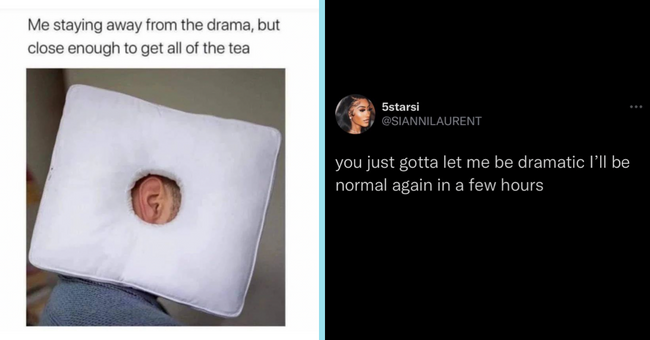 Funniest Memes for People Who Are Not Dramatic, but Just Increasingly ...