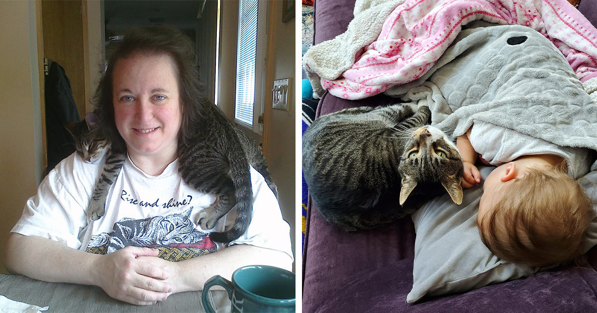 Heartwarming Photos Capturing Just How Much Cats Love Their Humans - I ...