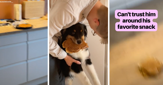 'When mom leaves waffles on the kitchen bench': Waffle Loving Aussie ...