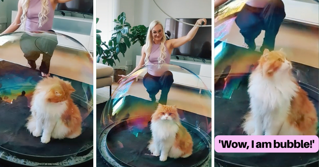 ‘It’s Bubble Time!’ Nata the Peculiar Cat Prefers to Spend Her Afternoons Inside of Soap Bubbles ...