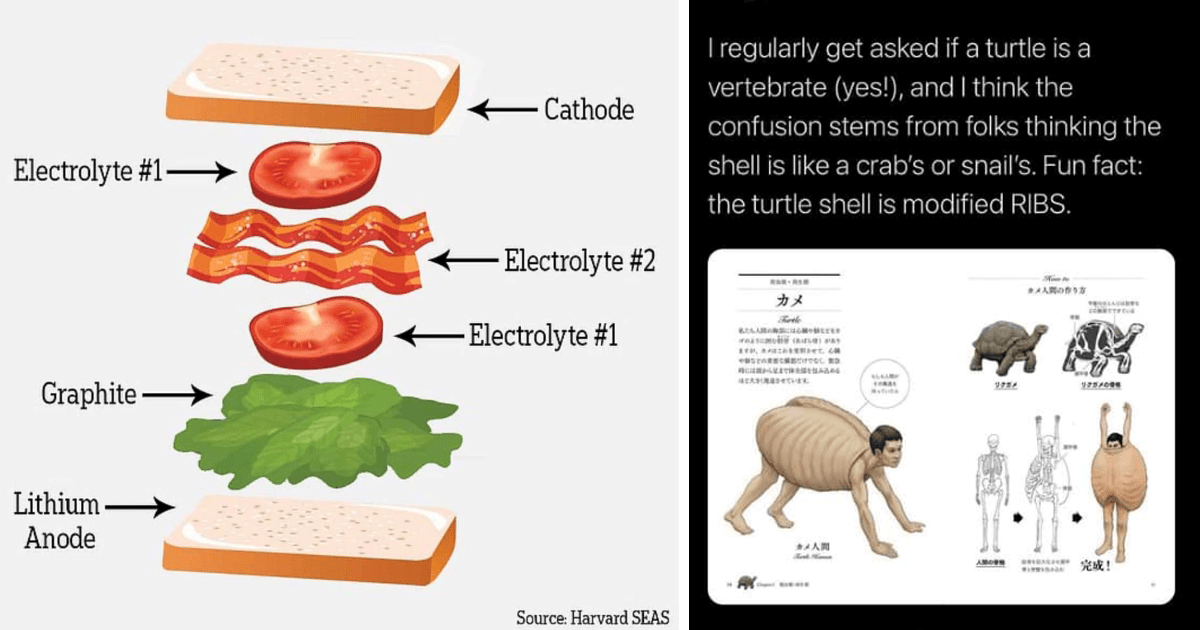 Scientific Diagrams That Look Like Jokes In 2020 Funn - vrogue.co Scientific Diagrams That Look Like Jokes In 2020 Funn - vrogue.co