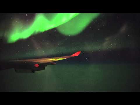 The Daily What - Daily Dose of WHAT?