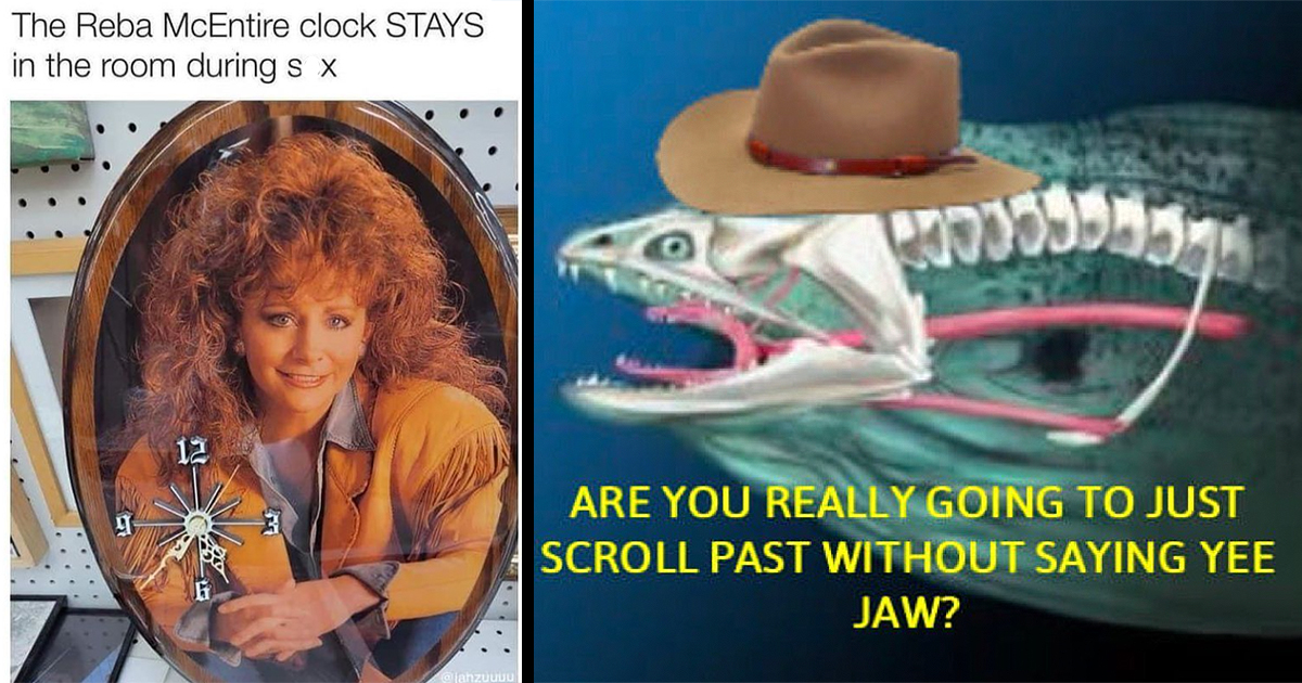 The Most Rootinest Tootinest Yee-Haw Memes of the Week for the Funniest ...