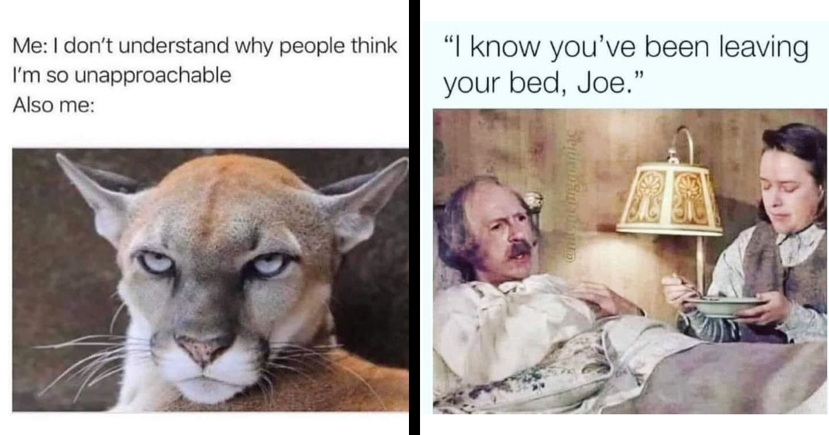 Normal Memes For Average Guys - Memebase - Funny Memes