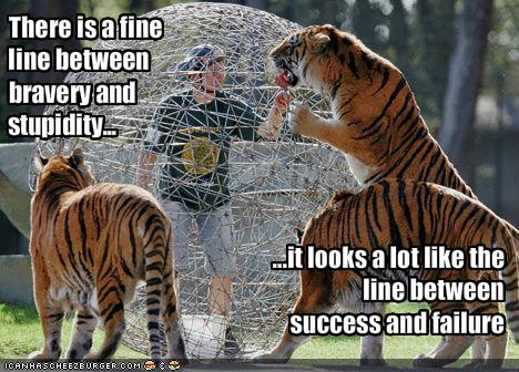 There is a fine line between bravery and stupidity... - Cheezburger ...