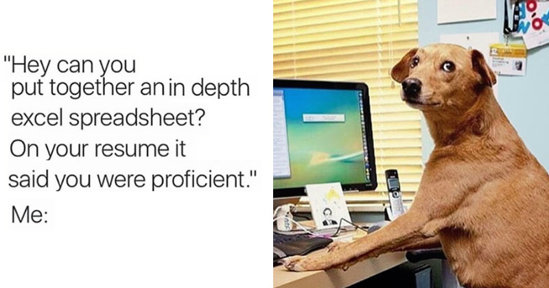 50 Various Memes About the Joys and Struggles of Working - Memebase ...