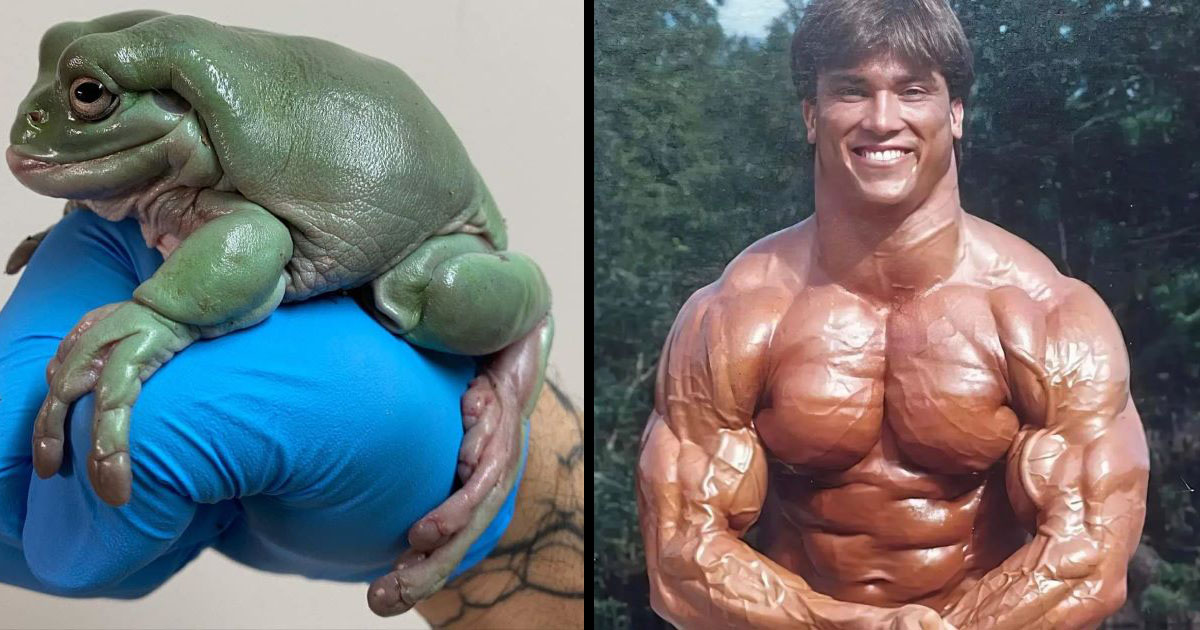 Absolute Units With Awe-Inspiring Sizes - Memebase - Funny Memes