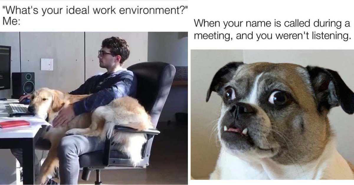Bridging The Gap Between Workweek And Weekend With Relatable Doggo Work ...
