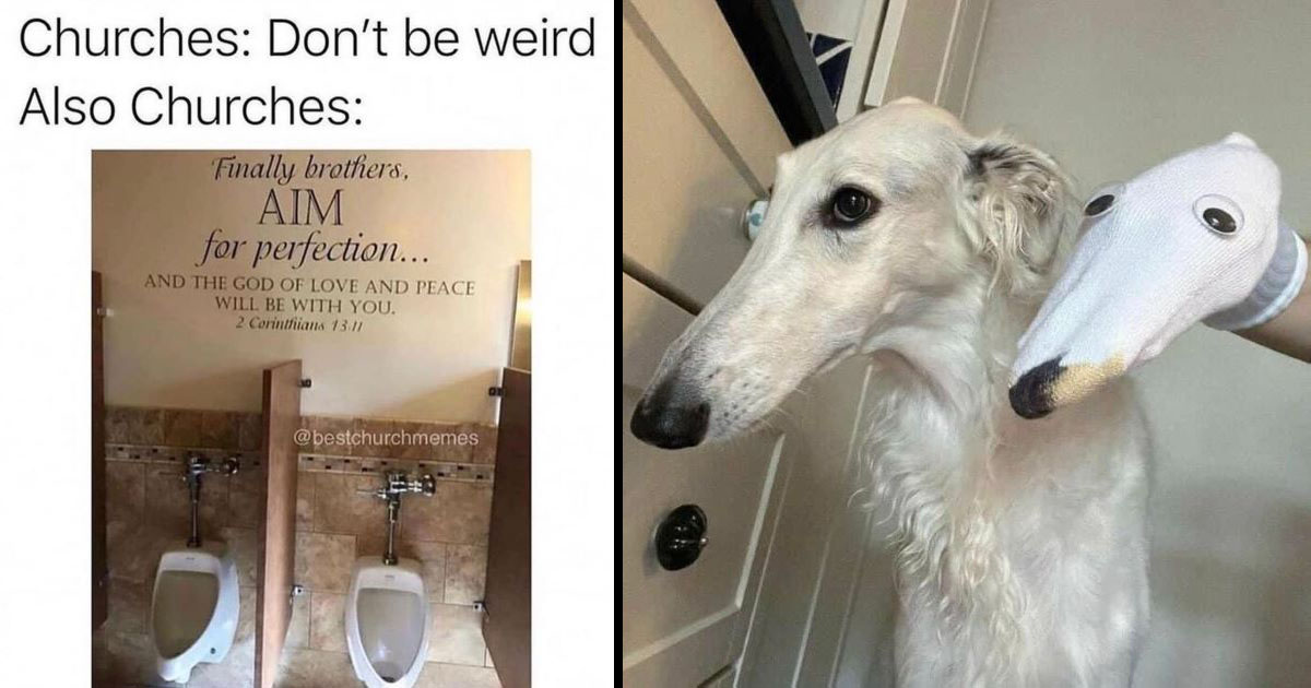 Compelling Memes For Interested Parties - Memebase - Funny Memes