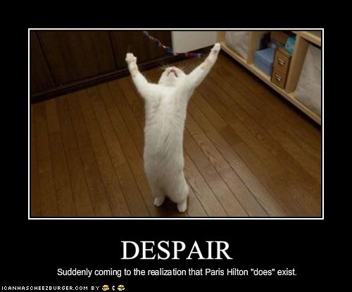 DESPAIR - Cheezburger - Funny Memes | Funny Pictures