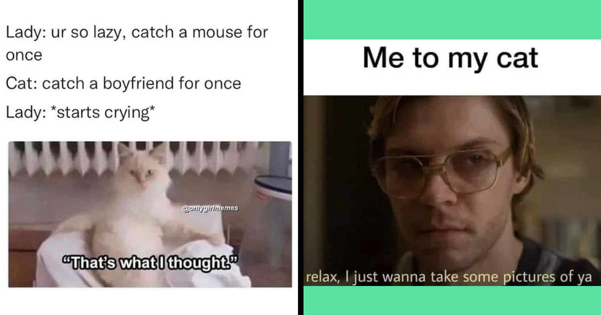 Funniest Memes of the Week Starring the Most Rebellious and Mischievous ...