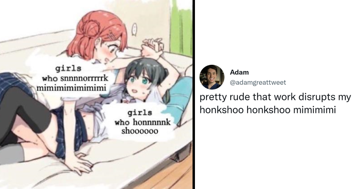 Best Honk Shoo Mimimi Memes and Tweets for Everyone Tucked in Tight at ...