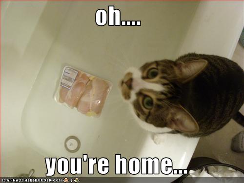 oh.... you're home... - Cheezburger - Funny Memes | Funny Pictures
