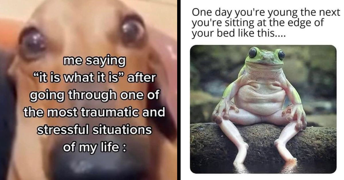 Memebase - funny cat memes - Page 9 - All Your Memes In Our Base ...