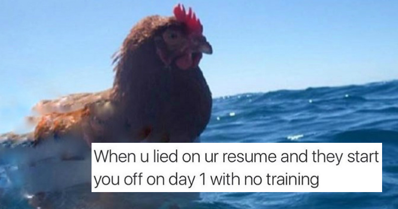 Here's a Basket Full of Chicken Memes to Help You Deal With Finding out ...