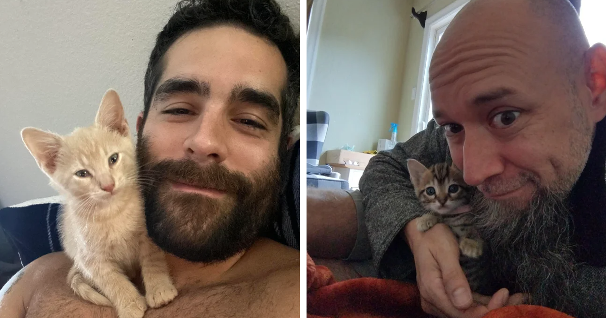 Large Men Being Totally Smitten With Itty Bitty Kittens (October 27 ...