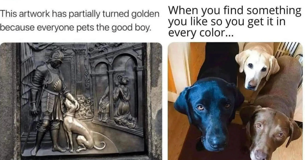 Bridging The Gap Between Workweek And Weekend With Some Good Boy Doggo ...