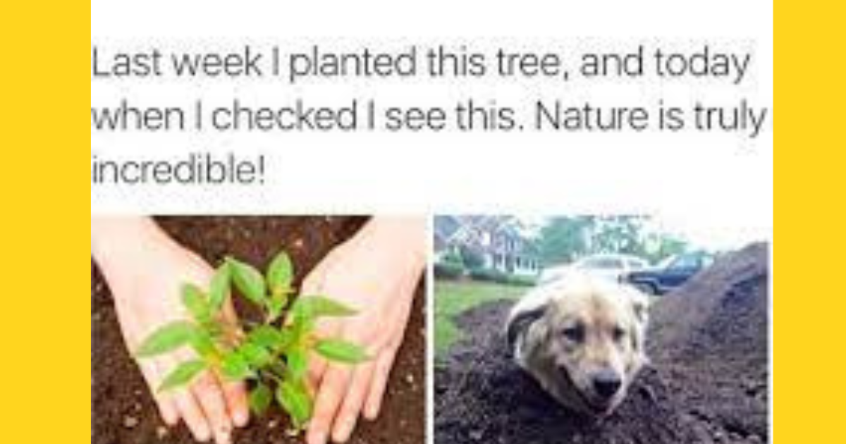 Outdoorsy Memes For The Tree Huggers Who Are In Love With Mother Nature ...