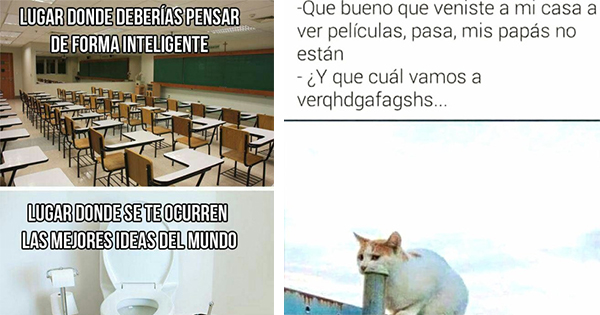 Ese lindo momento en el que una linda lista de memes te salva el día ...